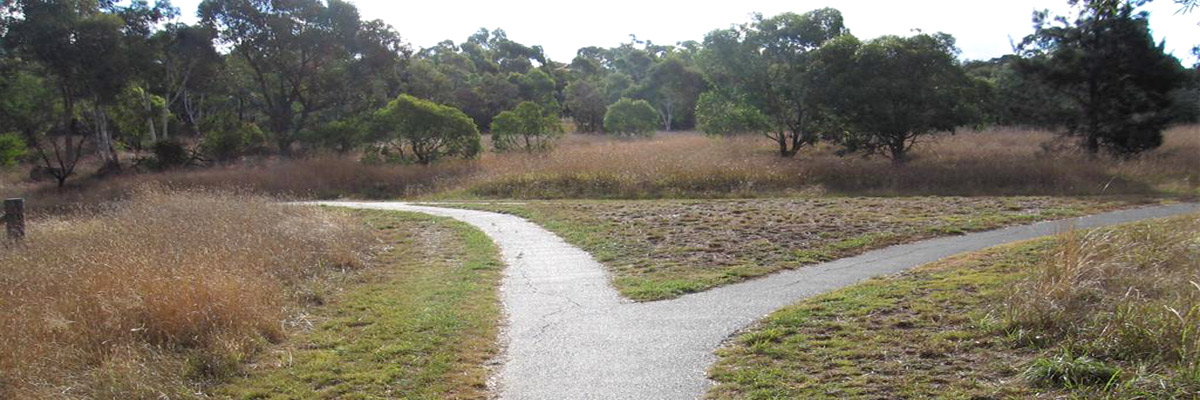 Veering off the path – OpentheWord.org