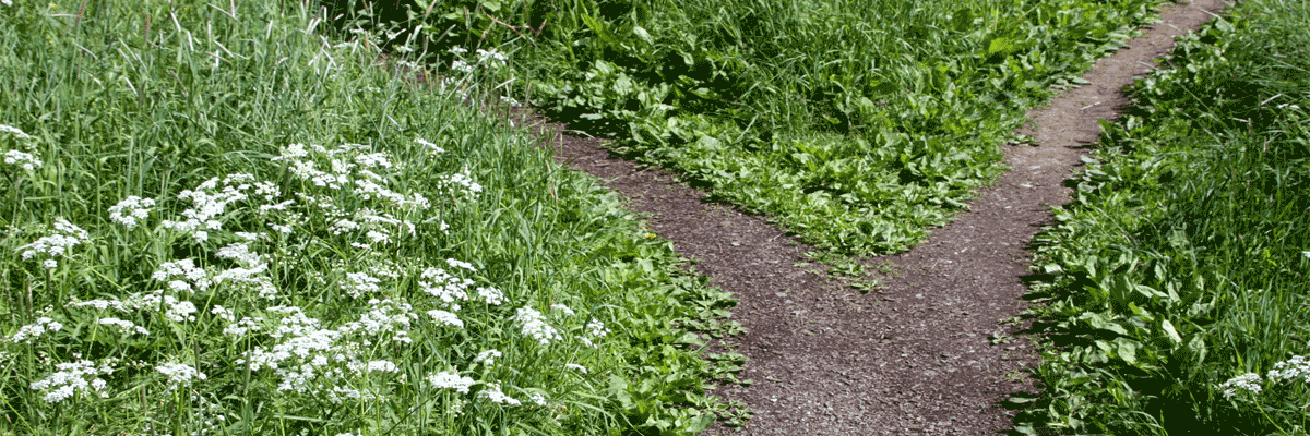 Change and Choose – OpentheWord.org