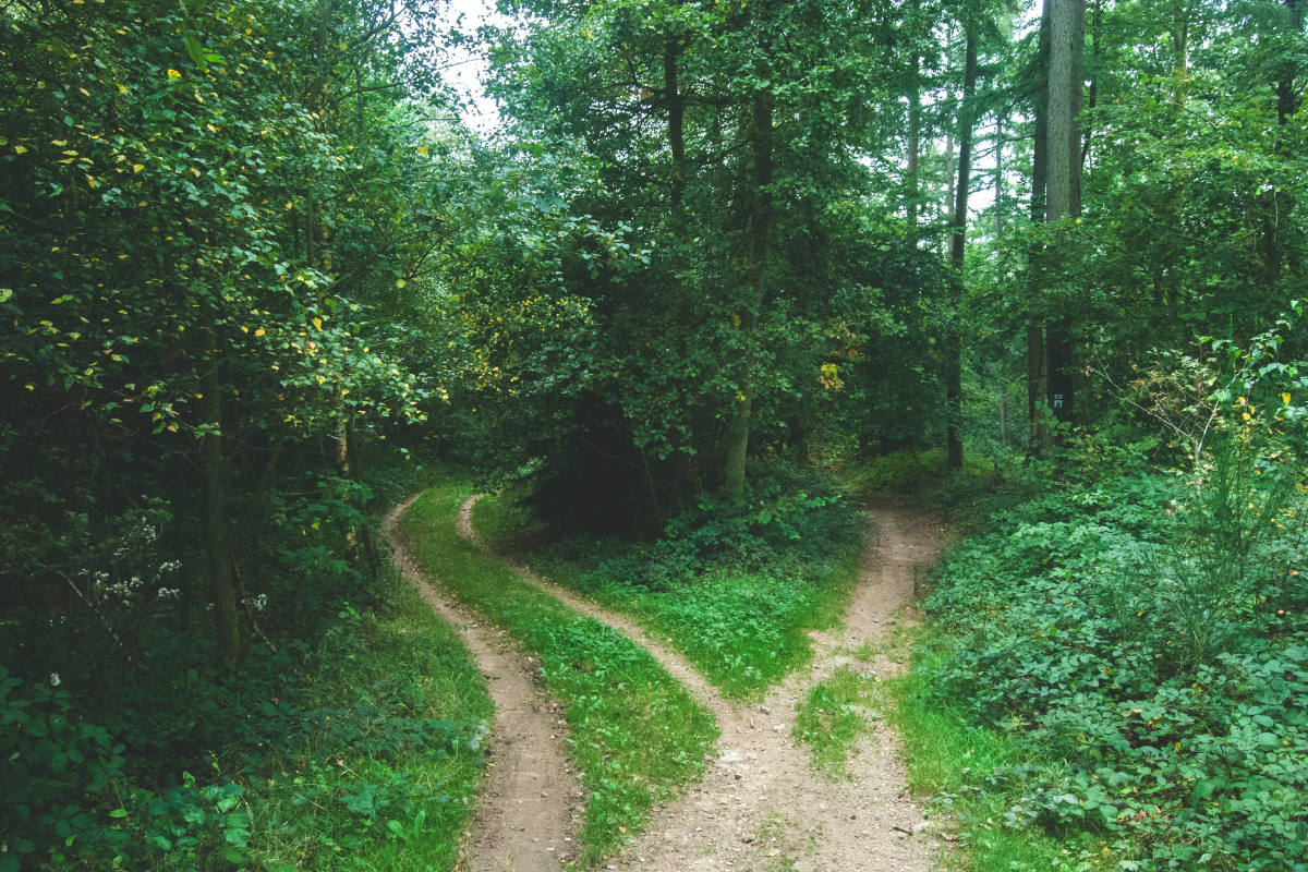 One sign that you may have chosen the wrong path – OpentheWord.org