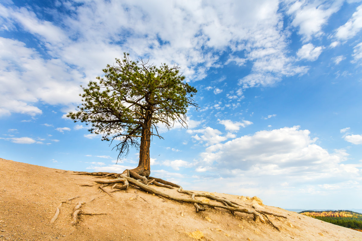 Creation? Are we still talking about that? – OpentheWord.org