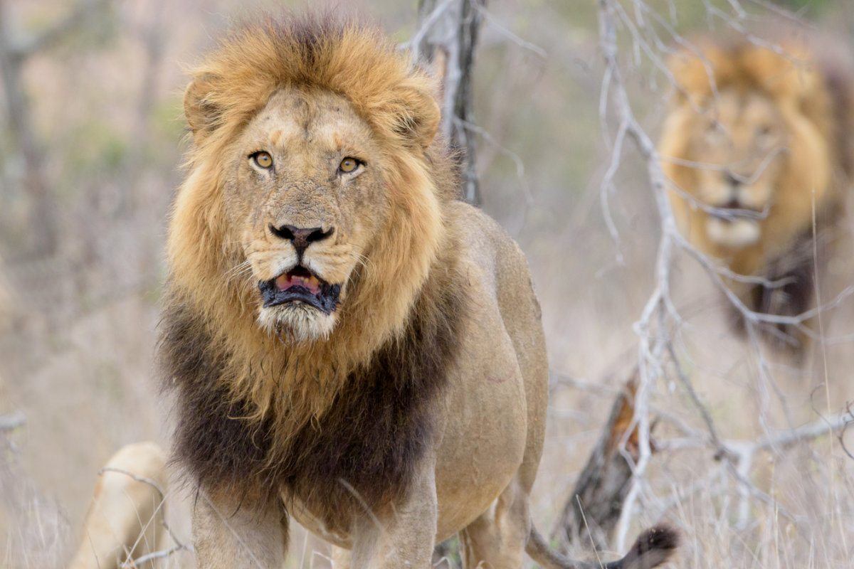 The moment Gospel singer Jimmy Levy realized ‘Satan was real’ started ...